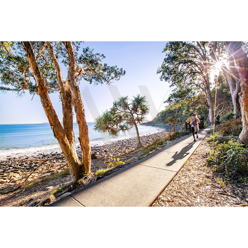 Noosa Tea Tree Beach Image 551 – AW Image Library
